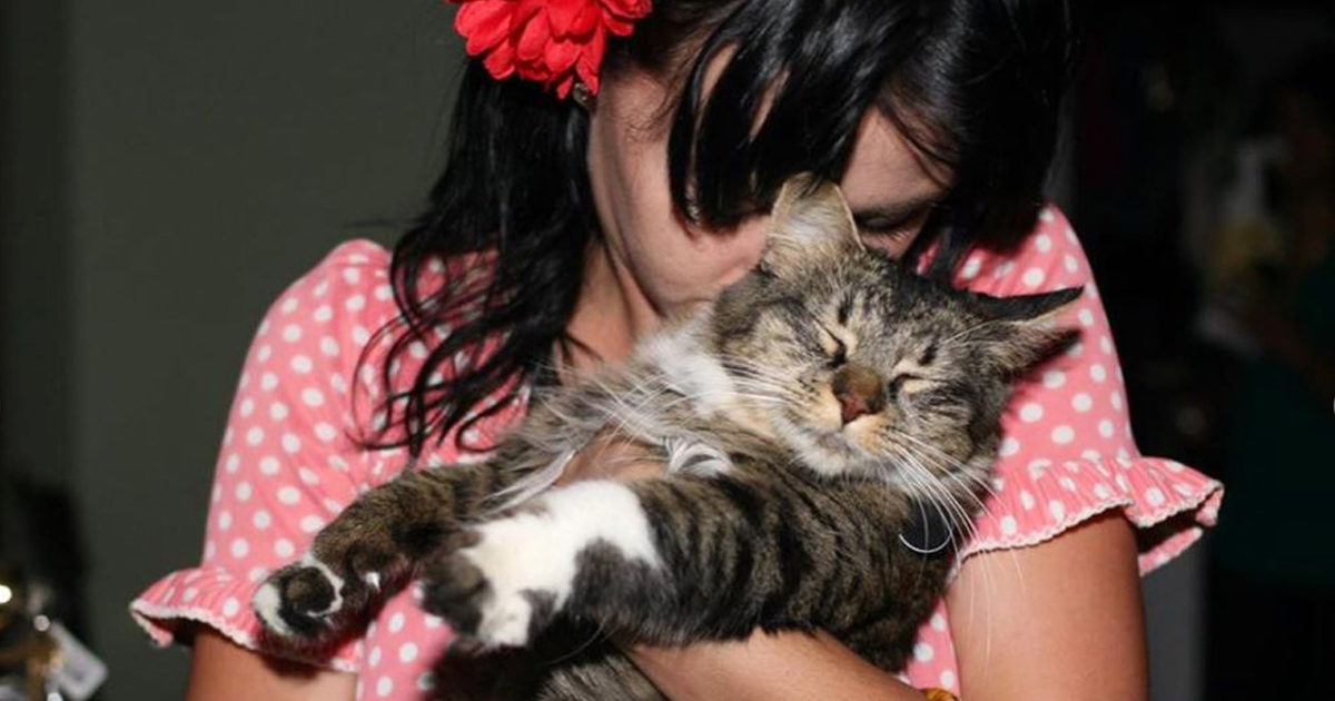 Fallece la gatita de Katy Perry