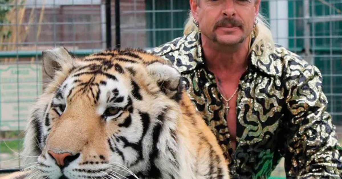 ¿Por qué todos están obsesionados con Tiger King? ¿Debería verla?