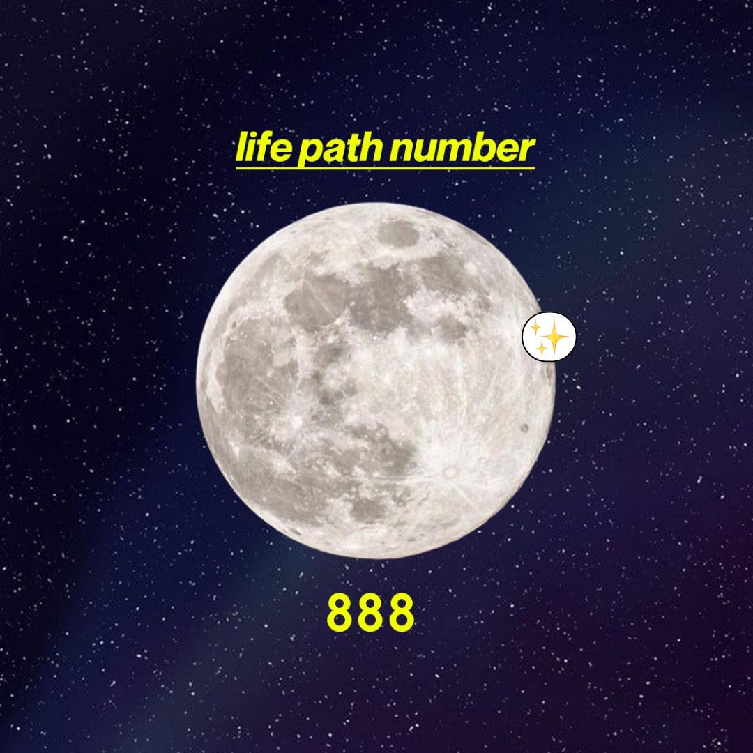 Cuál es tu life path number y qué significa