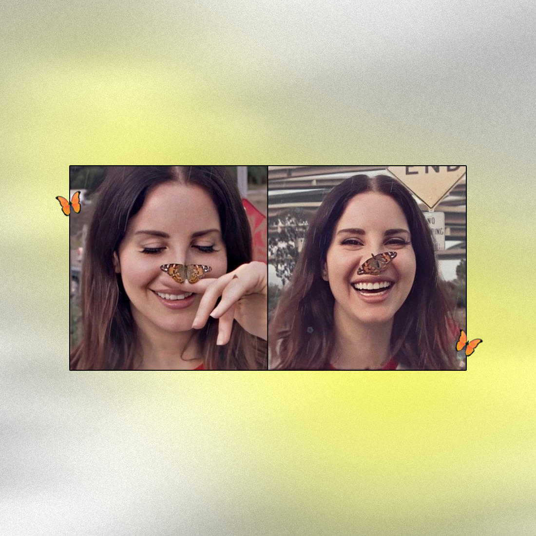 Esta es la leyenda de las mariposas monarca y el Día de Muertos